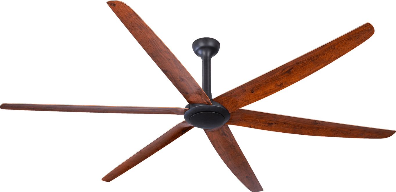 Hunter Pacific Big Fan V2 DC Ceiling Fan with Remote - Black/Natural ...